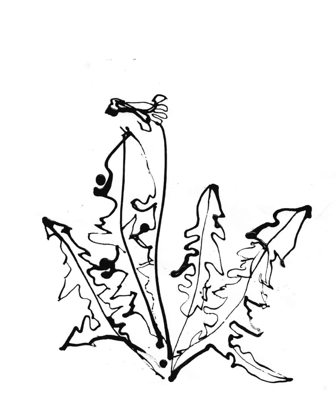 Packaging - Hot Toddy kit for Meadquin Illustrated Label - Caroline ...