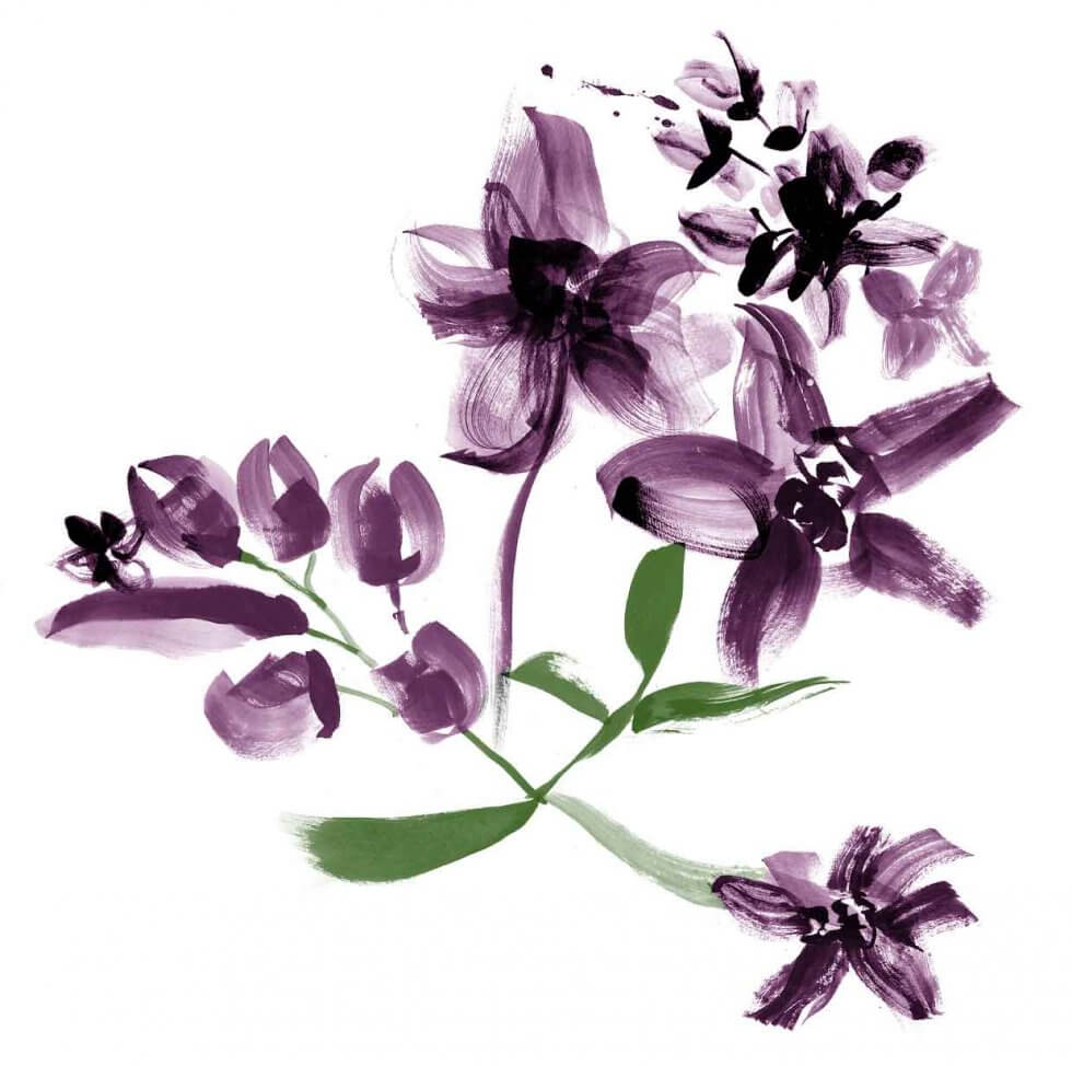Flora & Fauna - British Florals - Caroline Tomlinson